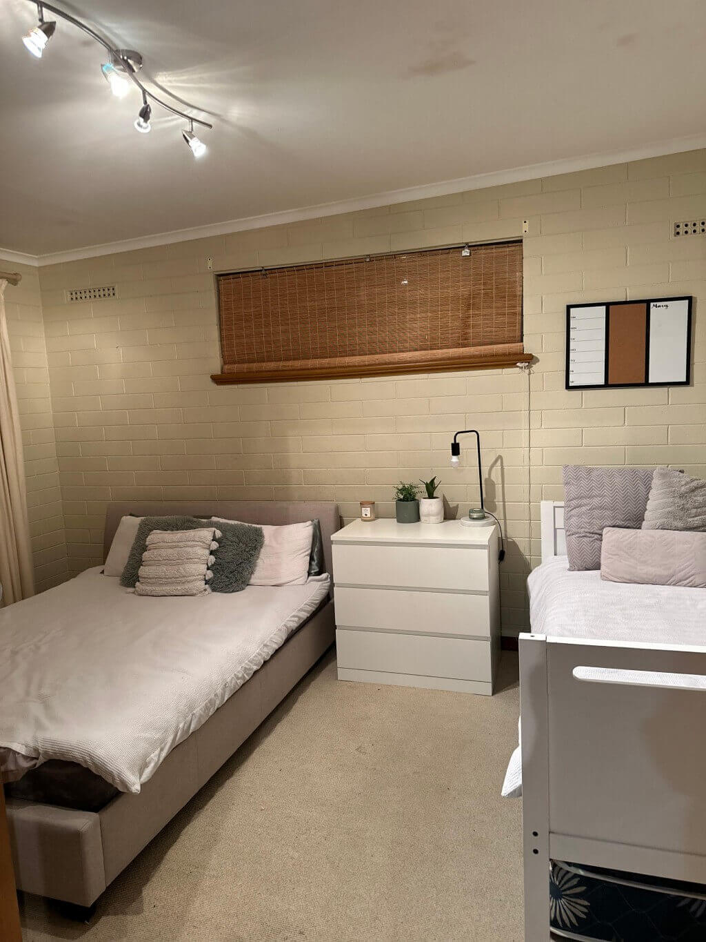 Friendship Building | My Mates Place